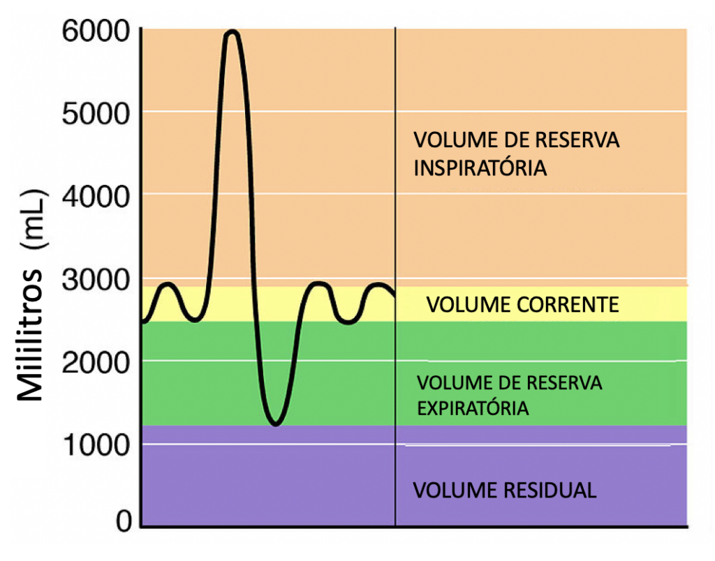Espirometria (Prova de Função Pulmonar): Medicina de Excelência