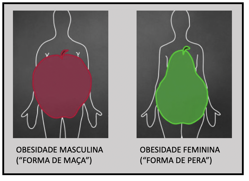 Obesidade: diagnóstico, causas, problemas de saúde, tratamento.